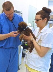 Our Vet - Visit us at Heartland Pets in Erie, PA for more info!